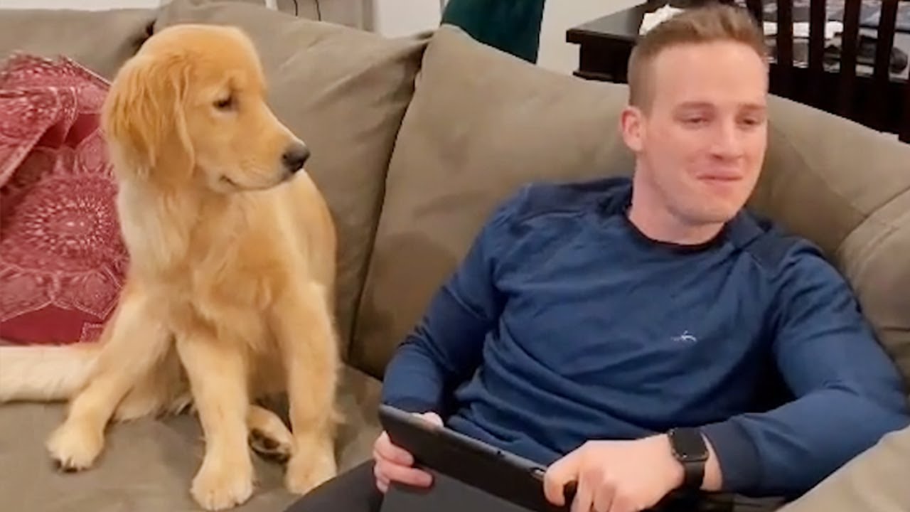 Should I Get Another Dog What Do You Think