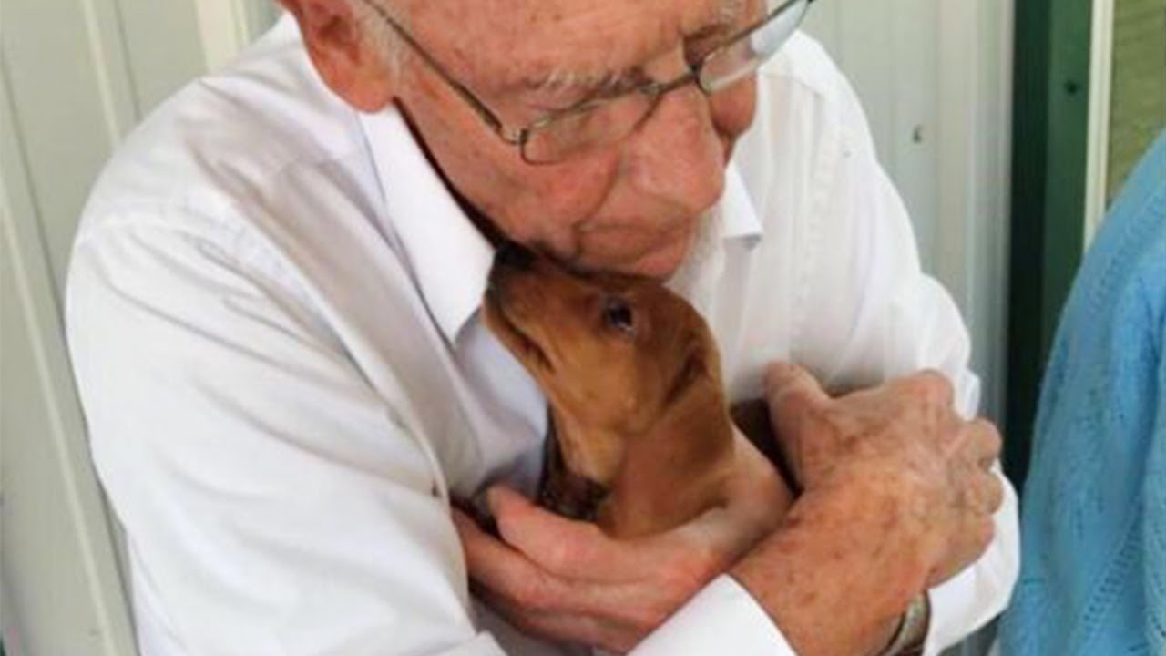 Dads Who Reluctantly Fell for Their Adorable Dogs