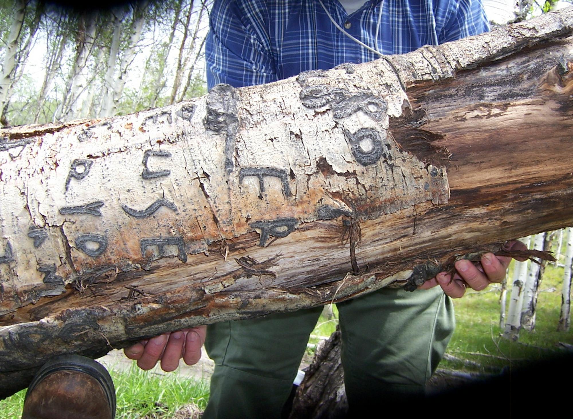 Arborglyphs – Basque immigrant sheepherders left their marks on aspen ...