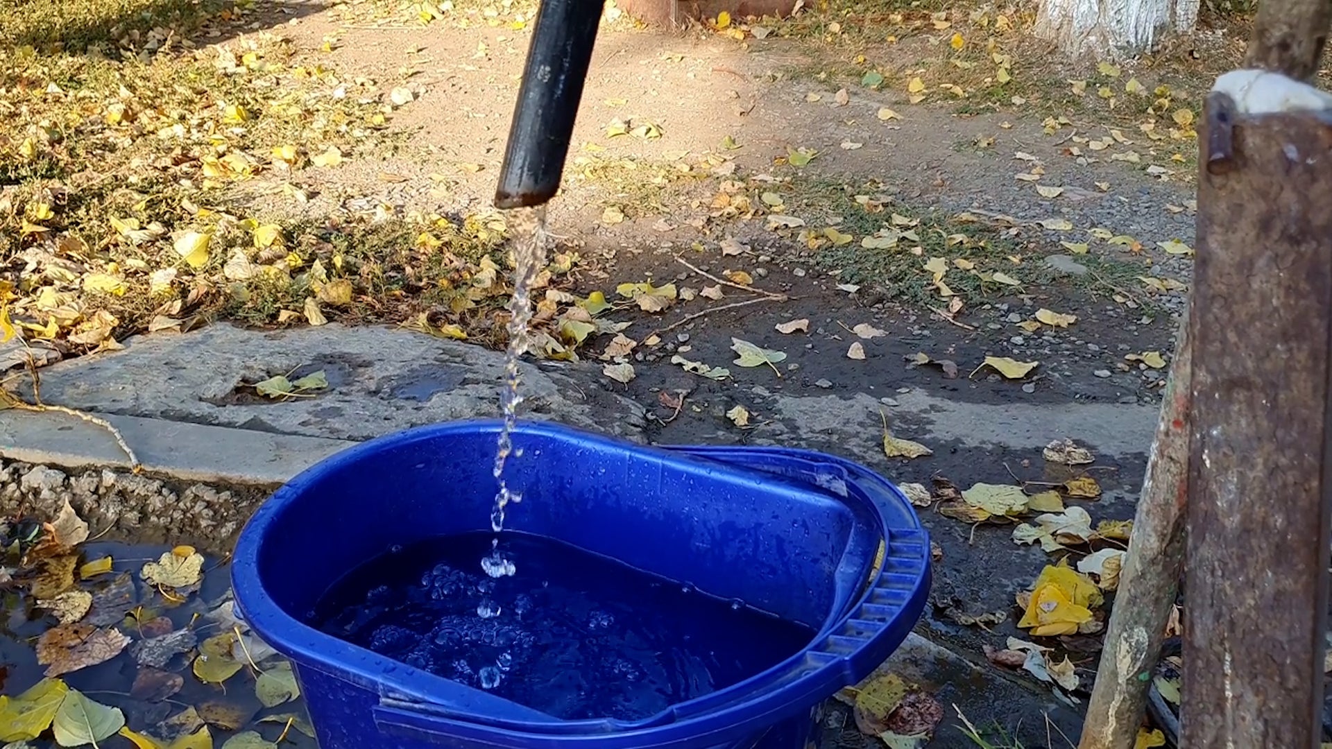 Get Them Before They Get You: Build A Mosquito Kill Bucket