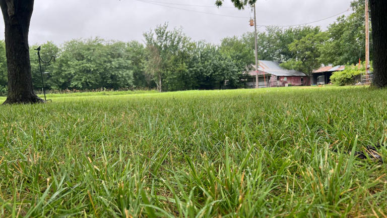 5 Lawn Mowing Mistakes That Are Easy to Fix