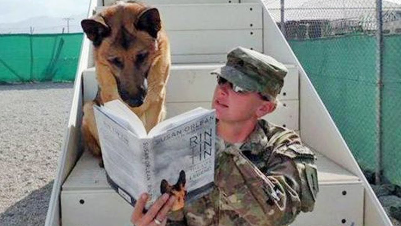 Genius Dogs With 200 IQ Will Leave You Speechless