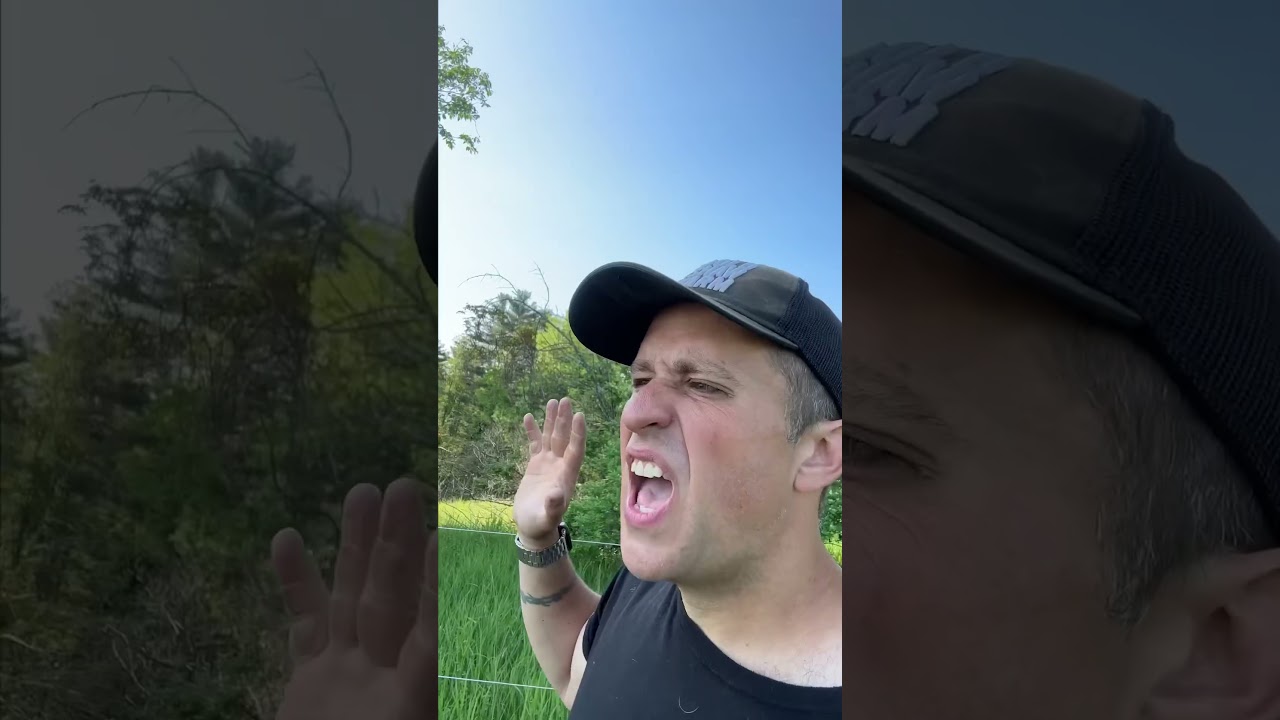 The Sleeping Goose Trick