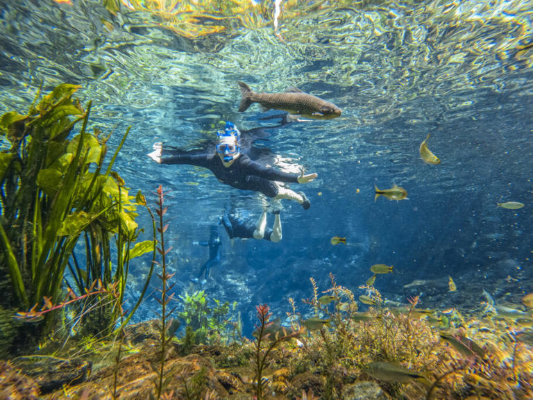 6 motivos para incluir Bonito (MS) na sua lista de viagens deste ano