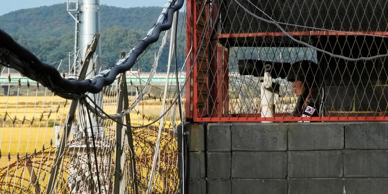 Satellitbilder: Nordkorea bygger mur mot Sydkorea Satellitbilder: Nordkorea bygger mur mot Sydkorea