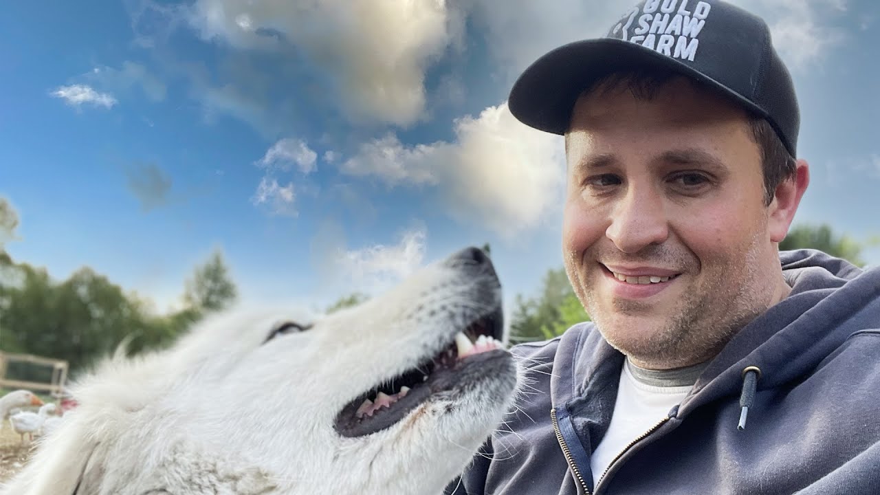 Enjoying the calm and quiet of a farm morning