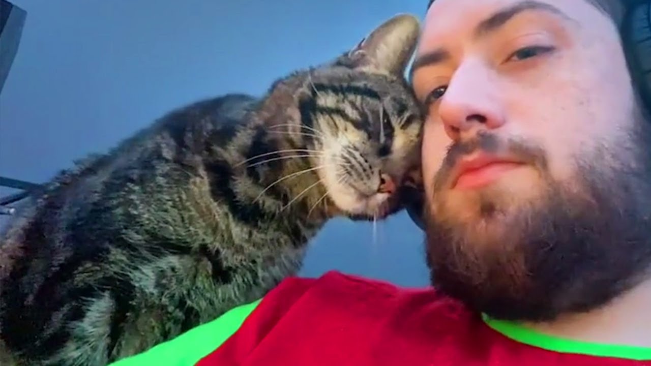Cat Demands Cuddles from Dad Every Day—Heartwarming Moments
