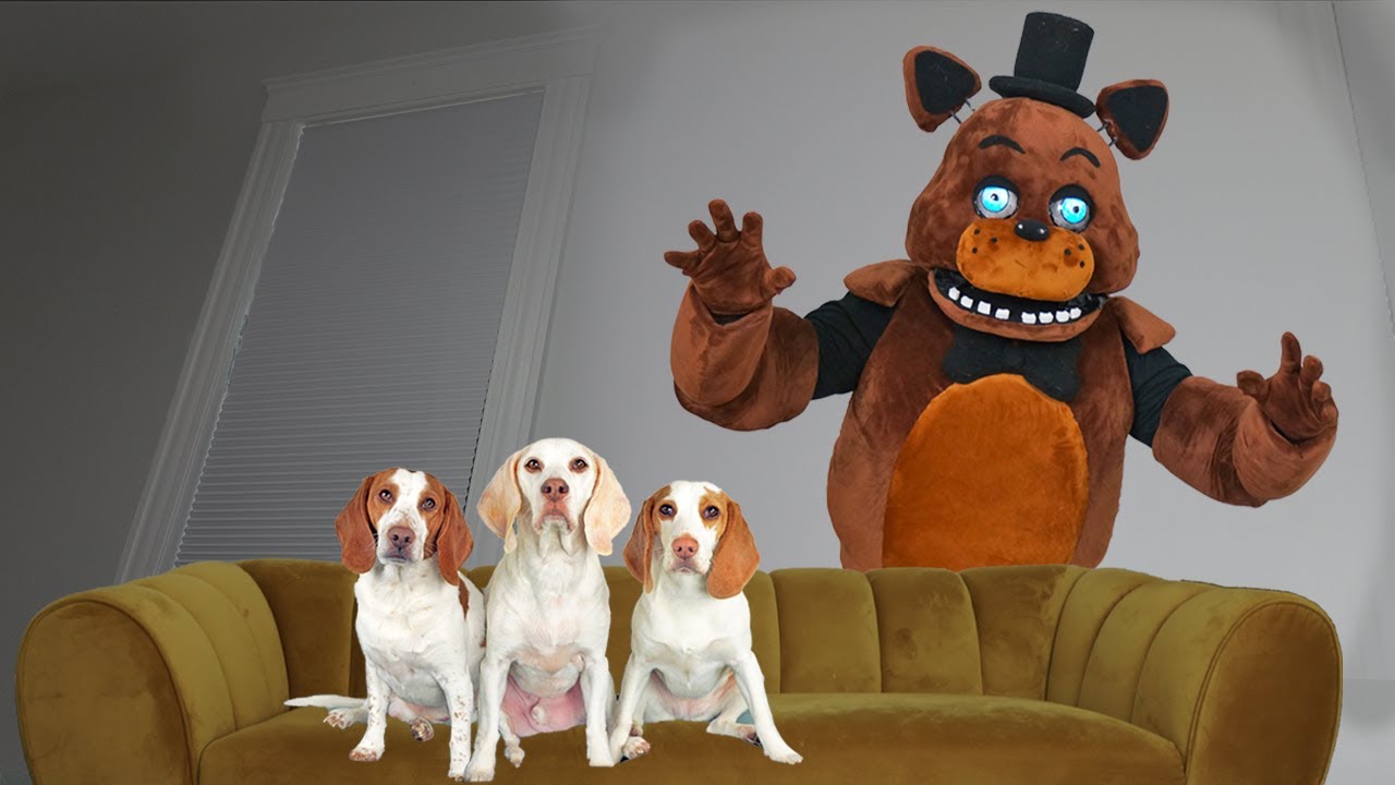 Adorable Dogs Face Freddy Fazbear in Hilarious Real-Life Battle