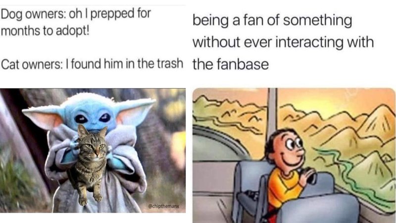 23 Memes That Will Help You Feel Less Alone