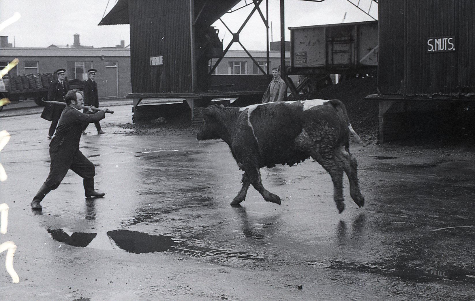19 remarkable photos reveal how Preston once looked in 1976 and 1977