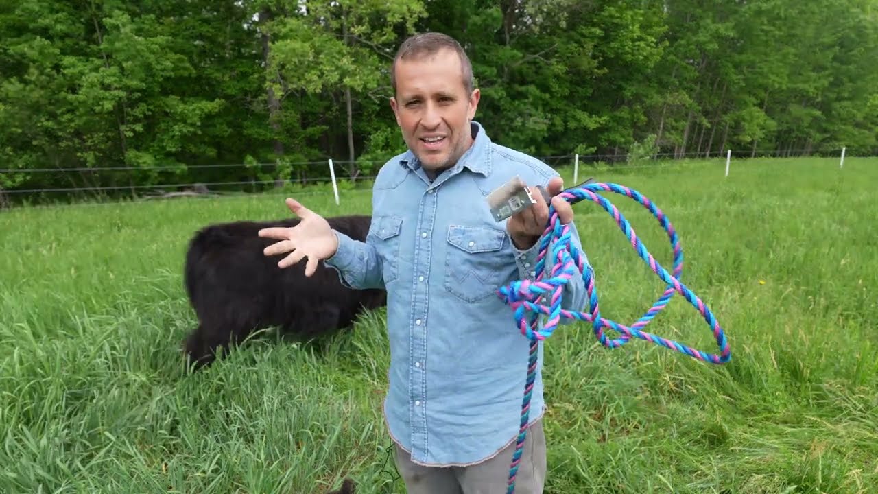 Living your dream farm life creates unexpected misery