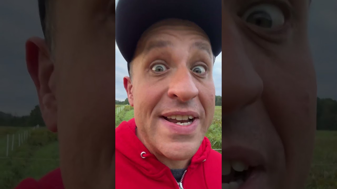 Herd on the Move: What Cattle Teach Us About Farm Life