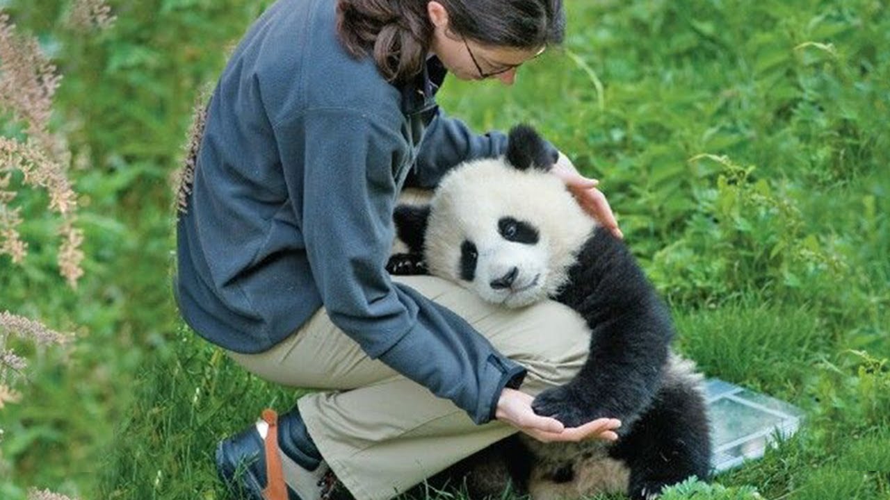 Funny animal and human moments to brighten your day