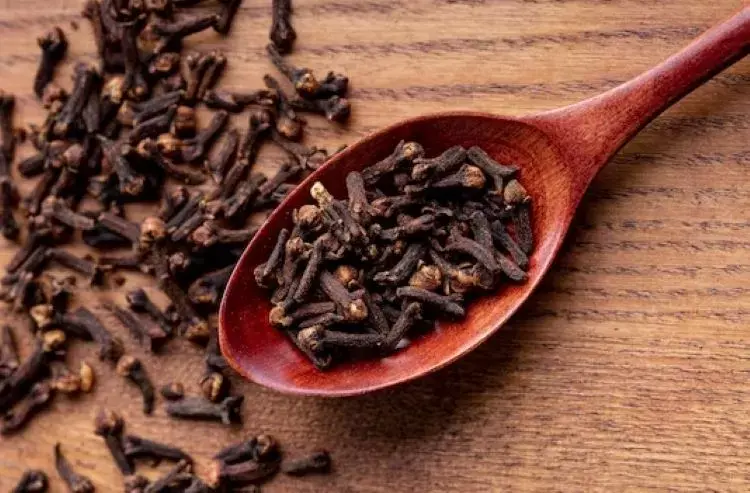 Rahasia teh cengkeh, minuman rempah yang bikin tubuh sehat dan ...