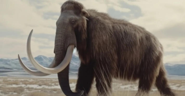 Extinct woolly mammoth gets one step closer to de-extinction as ...
