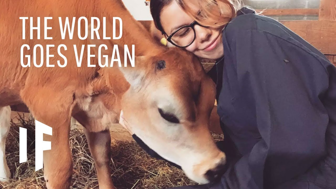 Imagine a world where every human being goes vegan