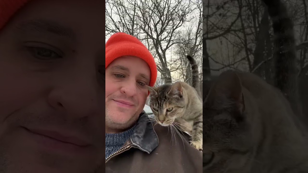 I Am Not a Cat Person