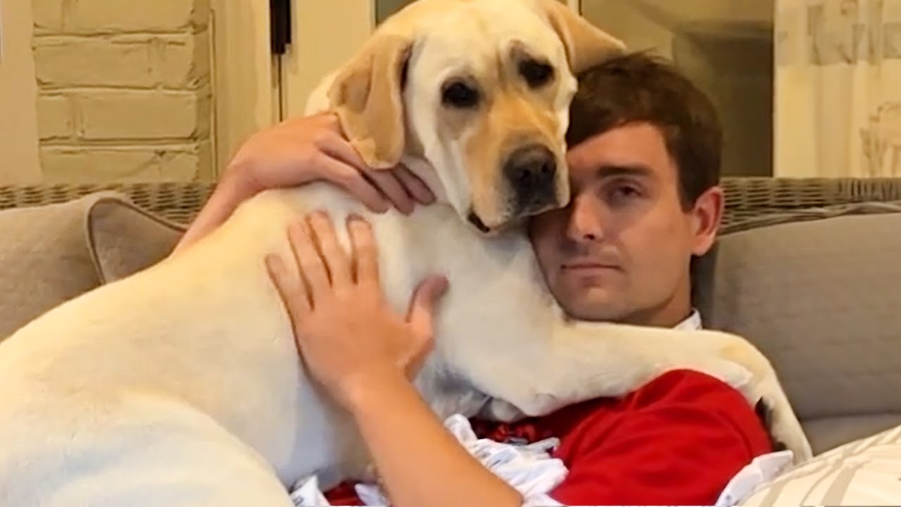 My dog is obsessed with my boyfriend