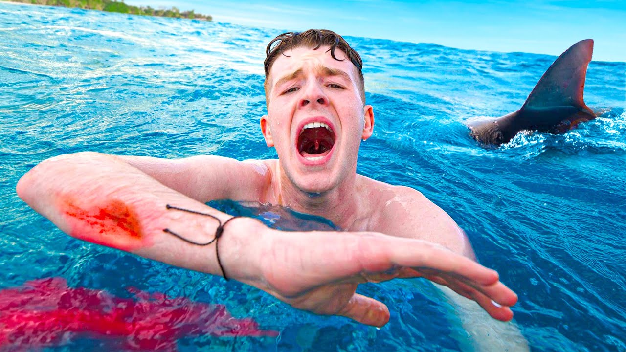 The terrifying moment a shark attacked me