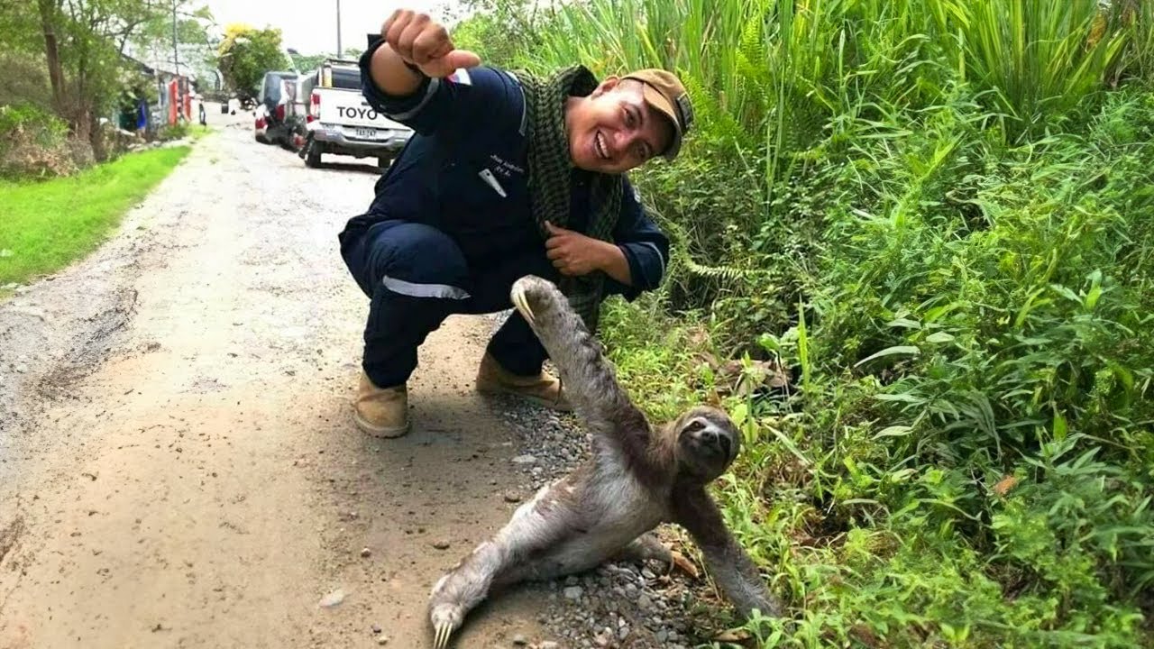 Animal and human fails that will have you laughing nonstop