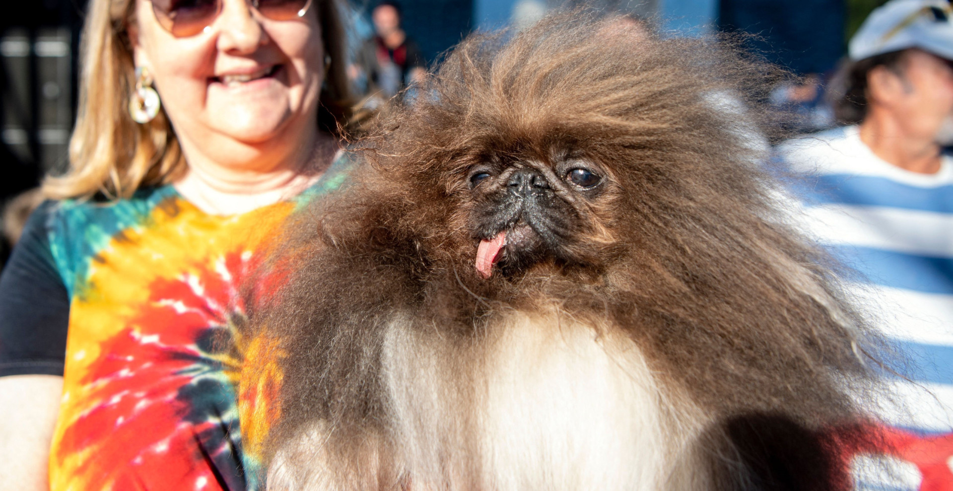 The world's ugliest (but coolest) dogs