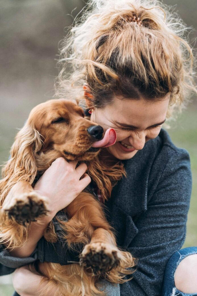 Does my dog show love? Understand 13 signs of affection from dogs