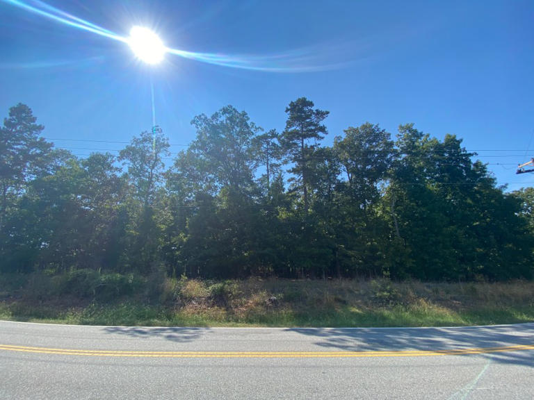 Skeletal Remains Found In Anderson Co Woods