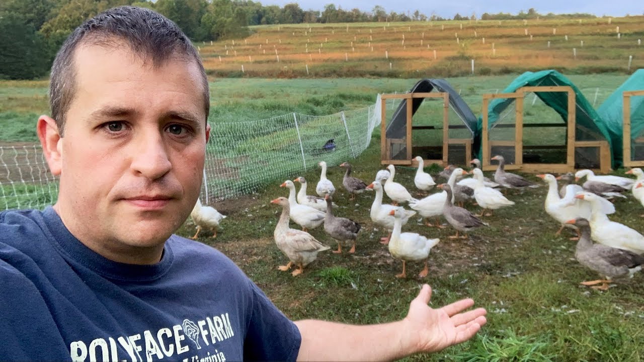 Raising the Most Sustainable Pastured Poultry on Farm