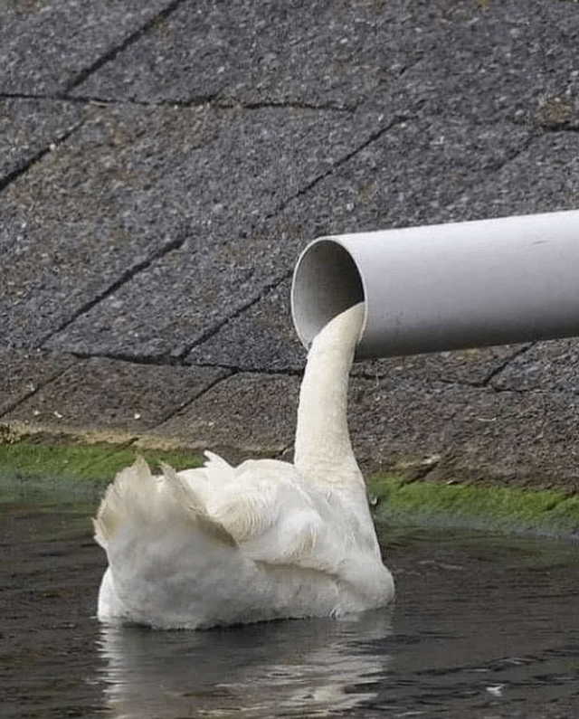 23 Random Memes Pretty Much Anyone Can Relate To