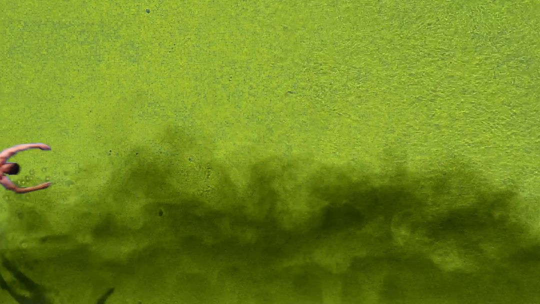 Falling into a pool of skunk spray: What would happen