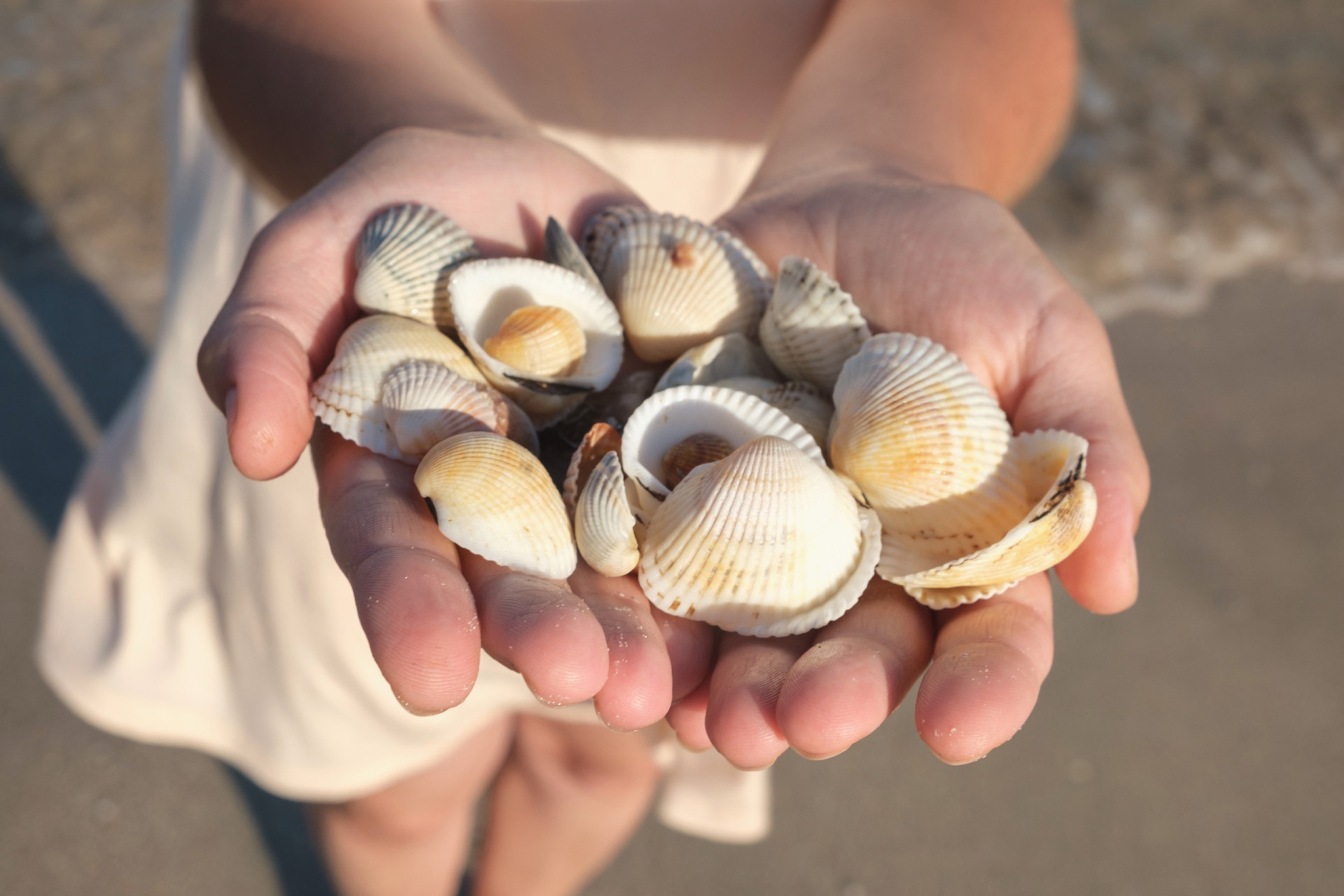 Budget-friendly summer activities for adults