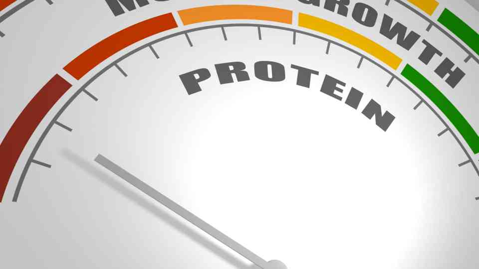 Protein Overload: The Hidden Health Risks of Excessive Consumption