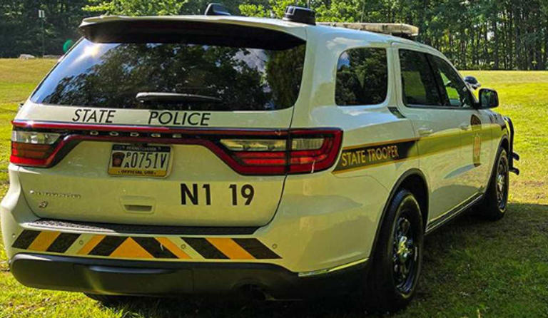 6-Year-Old Covered In Bruises After Repeated Beatings By PA Man, State ...