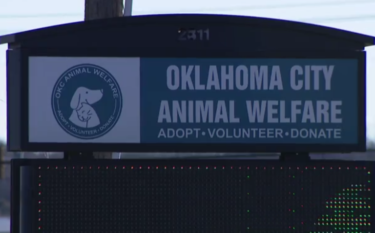 Oklahoma City Animal Shelter reduces adoption fees due to overcrowding