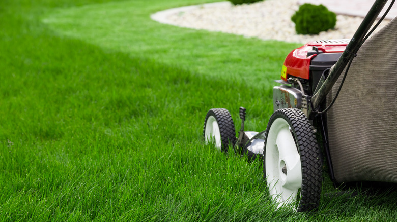 9 Lawn Mower Safety Tips Everyone Should Know (& 1 Dangerous Mistake To ...