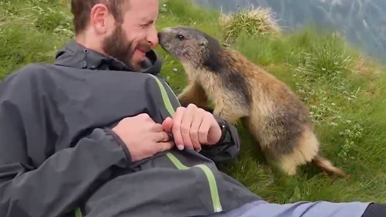 Incredible bonds show true love between pets and people