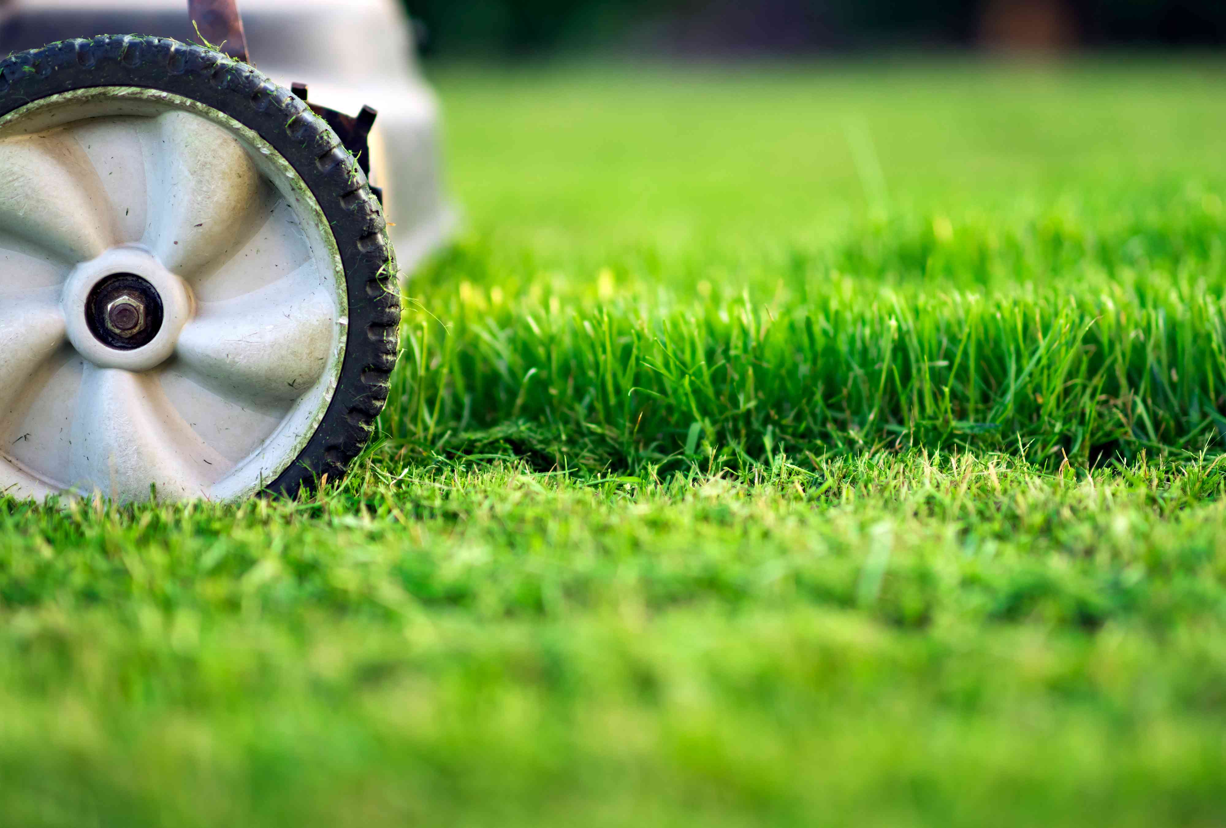 What's the best height to cut grass for a healthier lawn?