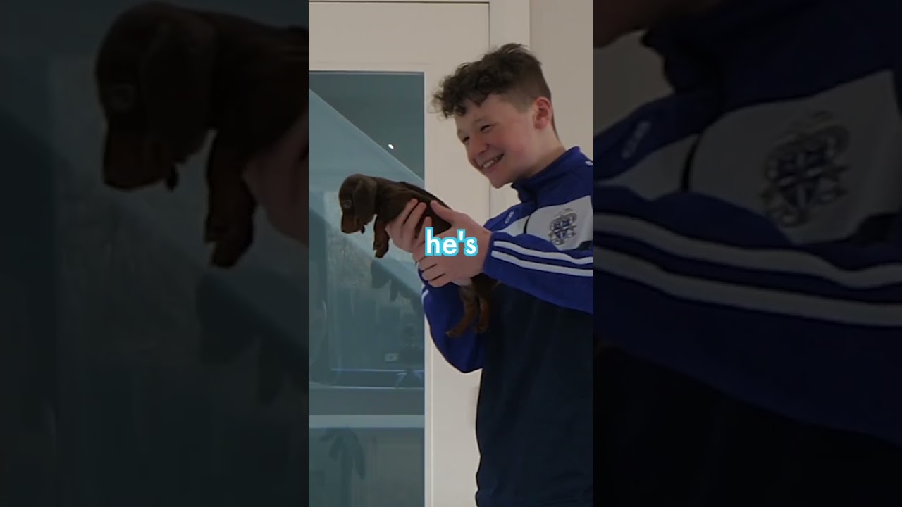 The emotional moment I surprised little brother with a new puppy