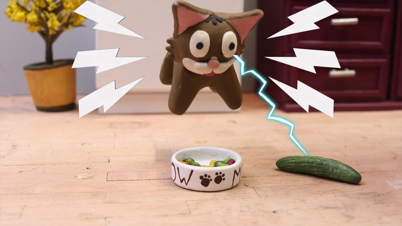 Scared and Startled Cats: A Compilation of Funny Stop Motion Moments