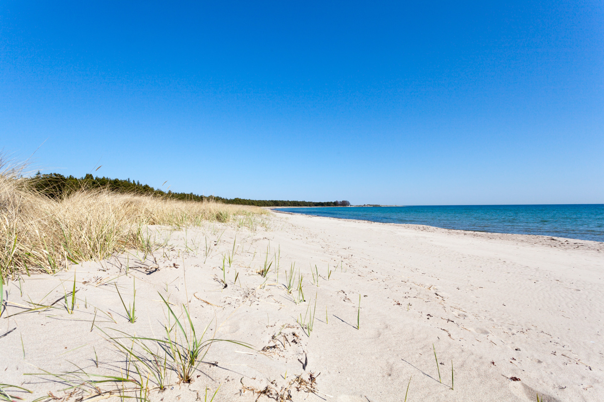 De beste stranddestinasjonene ved Østersjøen