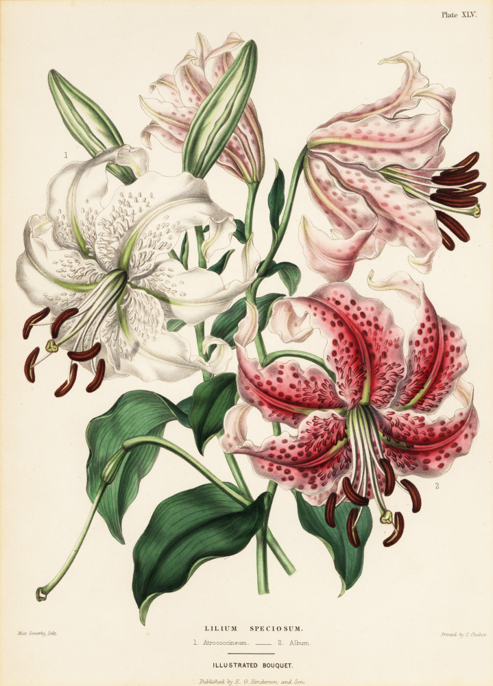 The fascinating history of giving flowers