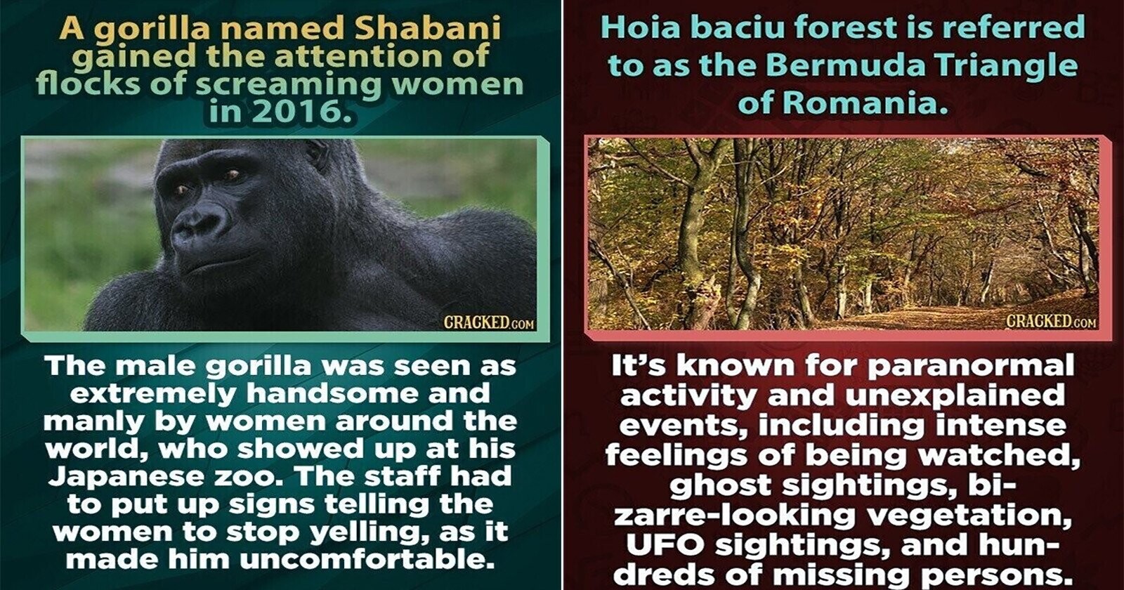 35 Rapid Facts and Bits of Trivia To Cram Into Your Brain