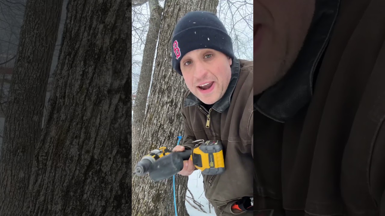 Odd Farm Hacks for Surviving Vermont Winter