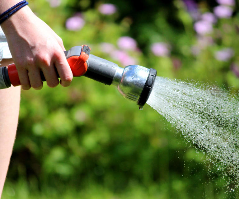 What exactly is a false fall? How gardeners can help get plants and ...