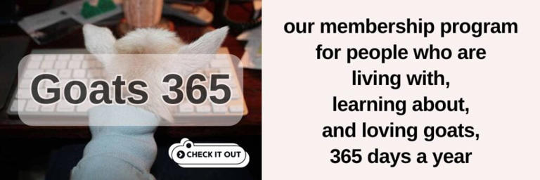 Goat Minerals: Why, What, and How