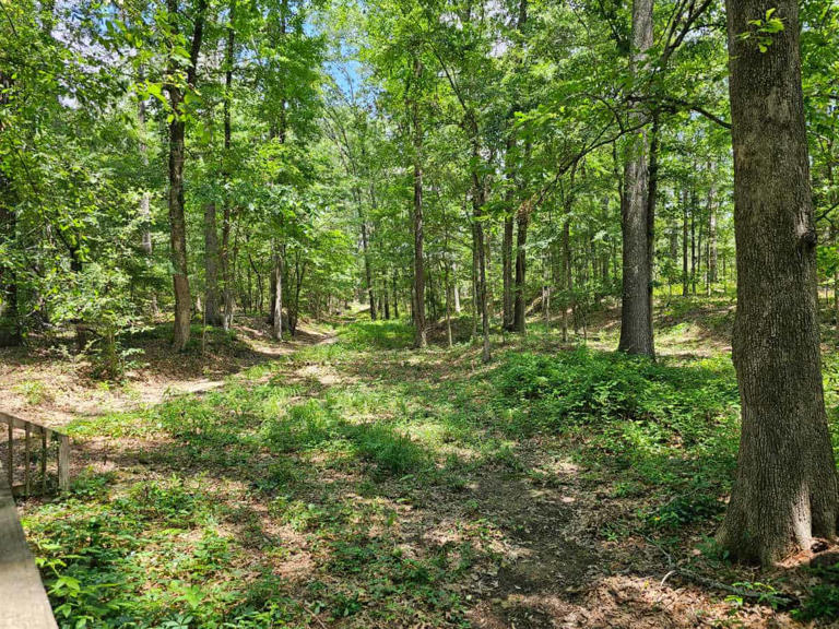 Explore the Natchez Trace Parkway