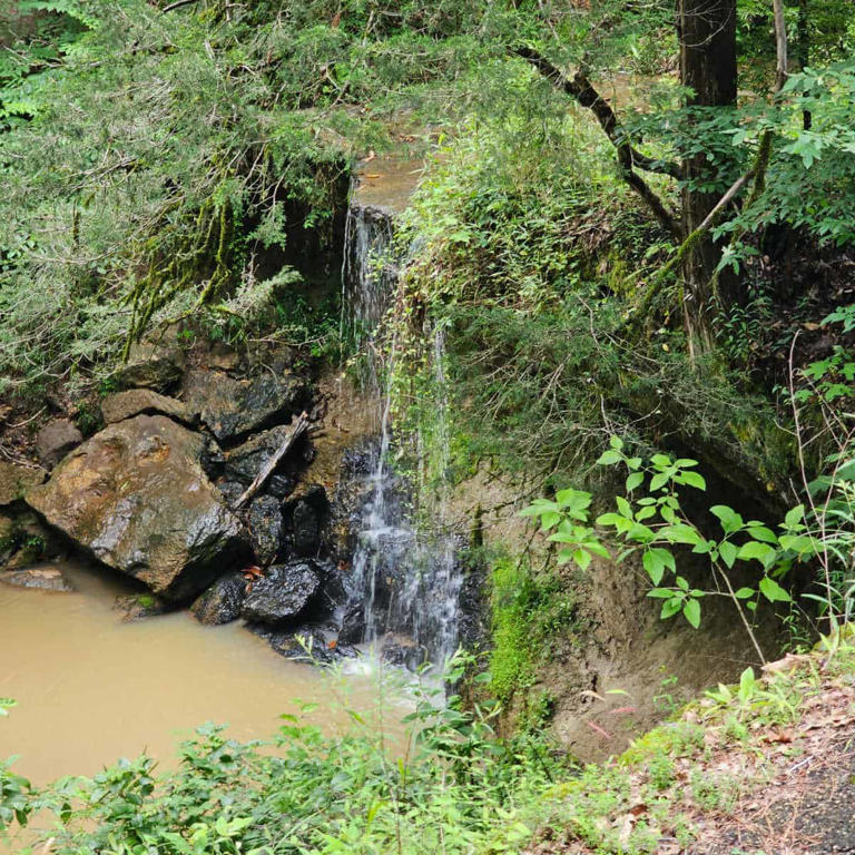 Explore the Natchez Trace Parkway