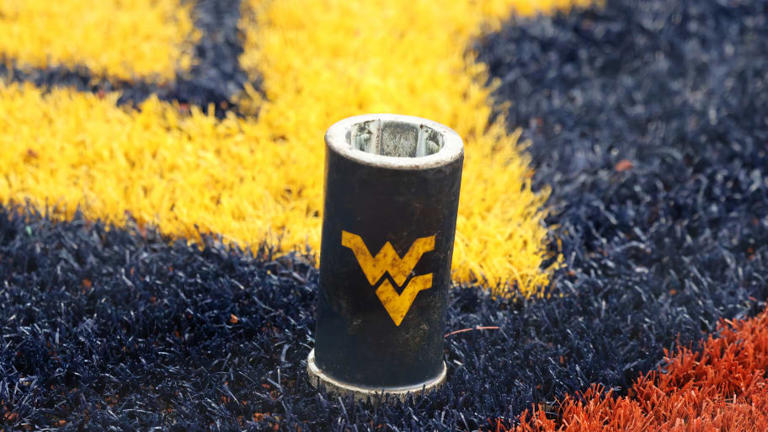 West Virginia Baseball Shatters Regular Season Home Attendance Record