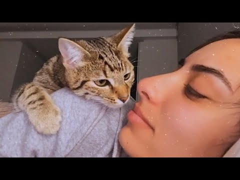 Cat and human best friends caught in a hilarious moment