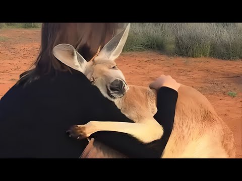 30 times humans rescued animals and got an adorable thank you